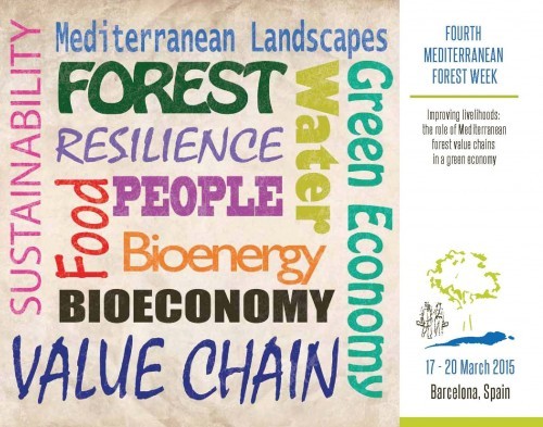 IV Mediterranean Forest Week